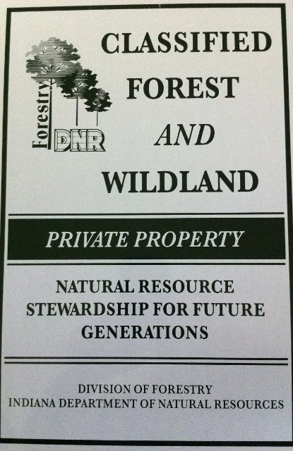 80s Conservation Club